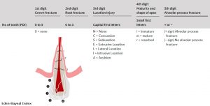 Evidence based dental trauma treatment – Dental Trauma Guide